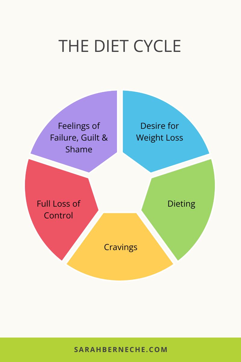 What is the Diet Cycle? - sarahberneche.com